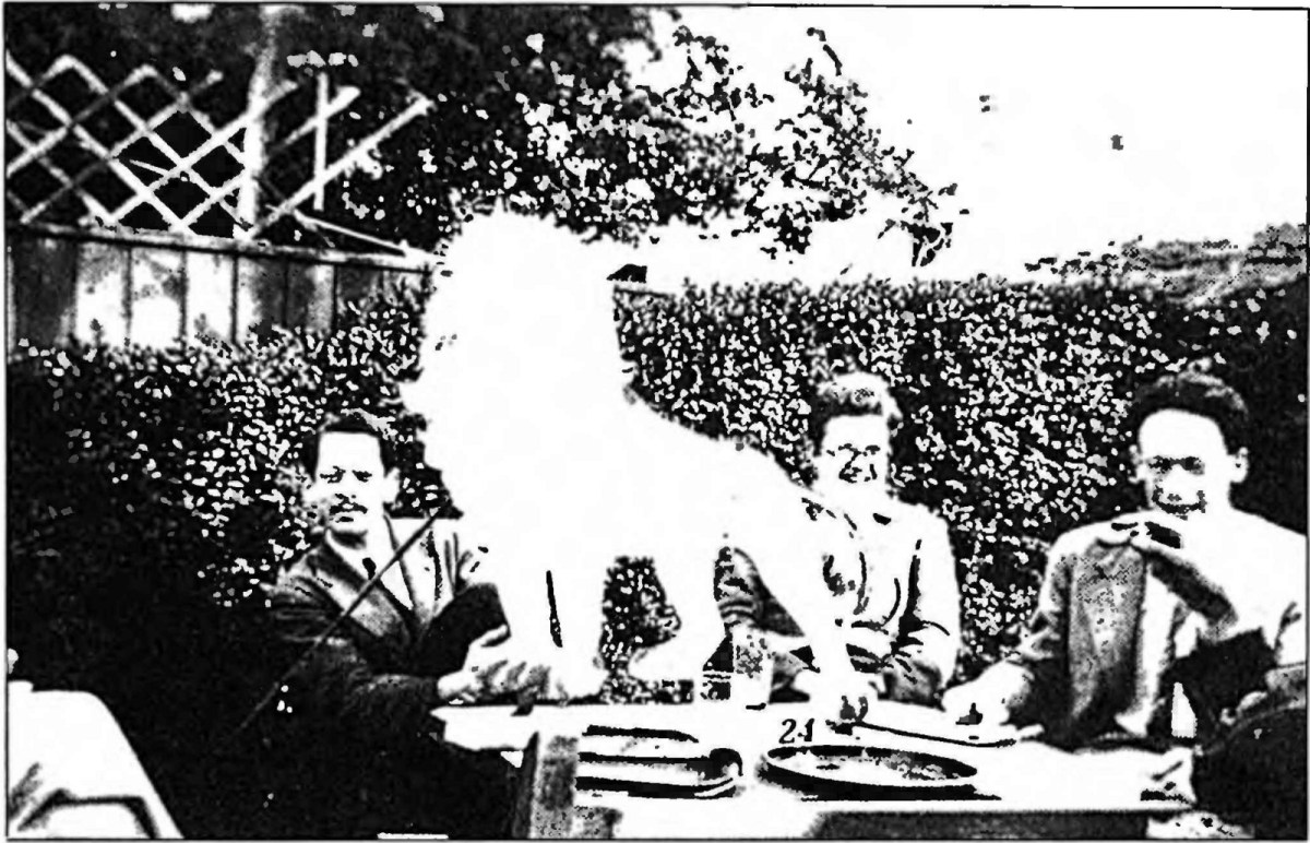 The Math of Hunting Lions – Joseph Matheny